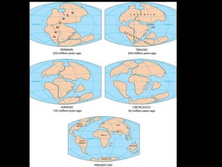CONTINENTAL DRIFT THEORY EVIDENCES ppt | PPT