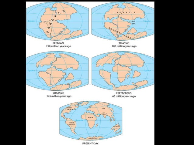 CONTINENTAL DRIFT THEORY EVIDENCES ppt | PPT | Geography | Science