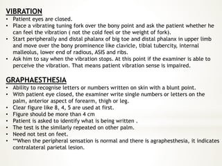 Part 4 examination of motor and sensory system | PPTX