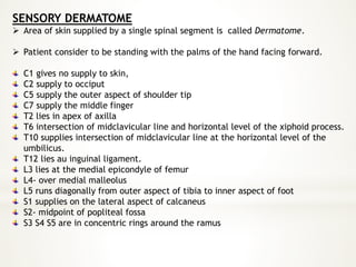 Part 4 examination of motor and sensory system | PPTX