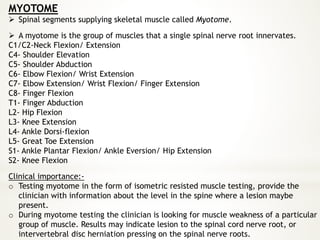 Part 4 examination of motor and sensory system | PPTX
