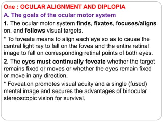 examination of the peripheral ocular system | PPTX