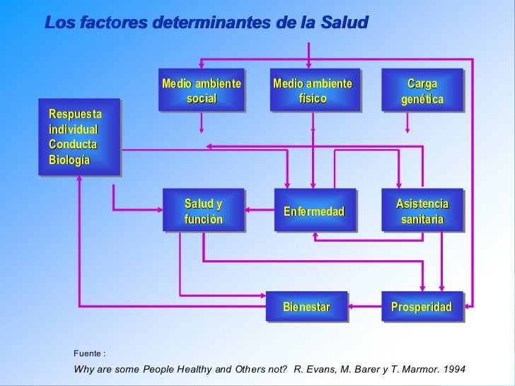 Factores Determinantes De La Salud Mind Map Images Factores Determinantes De La Salud Mind Map Images