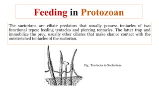 4- Feeding in Protozoan (1).pptx subscribe my Youtube channel "Biology ...