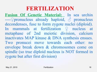 Fertilization Definition