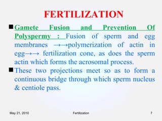 fertilization | PPT
