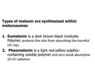 Skin Pigmentation & Dark spots | PPTX