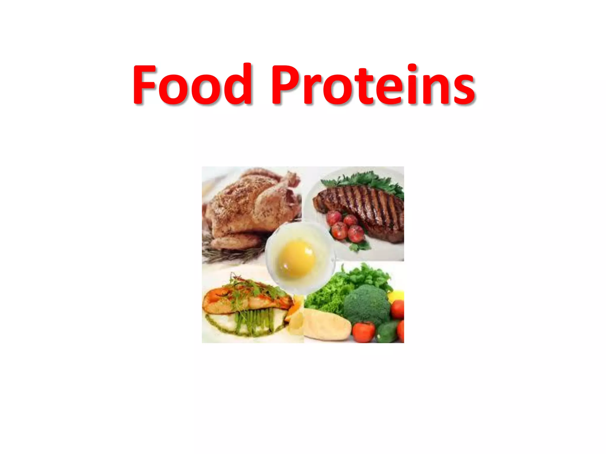 Food proteins | PPT