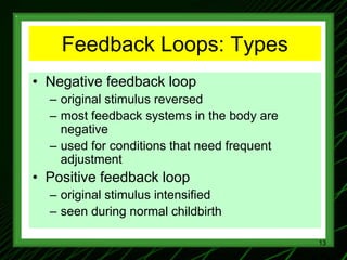 4-Foundation Block Lecture 4 (Homeostasis I).ppt
