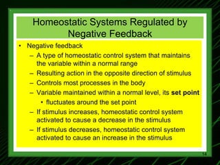 4-Foundation Block Lecture 4 (Homeostasis I).ppt