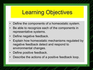 4-Foundation Block Lecture 4 (Homeostasis I).ppt