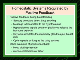 4-Foundation Block Lecture 4 (Homeostasis I).ppt