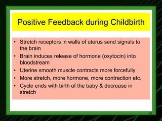 4-Foundation Block Lecture 4 (Homeostasis I).ppt