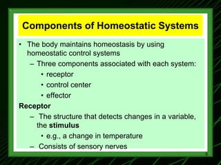 4-Foundation Block Lecture 4 (Homeostasis I).ppt