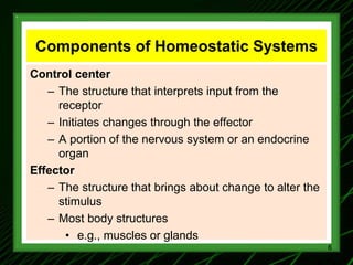 4-Foundation Block Lecture 4 (Homeostasis I).ppt