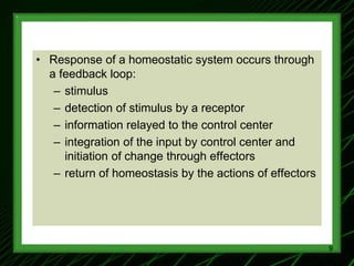 4-Foundation Block Lecture 4 (Homeostasis I).ppt