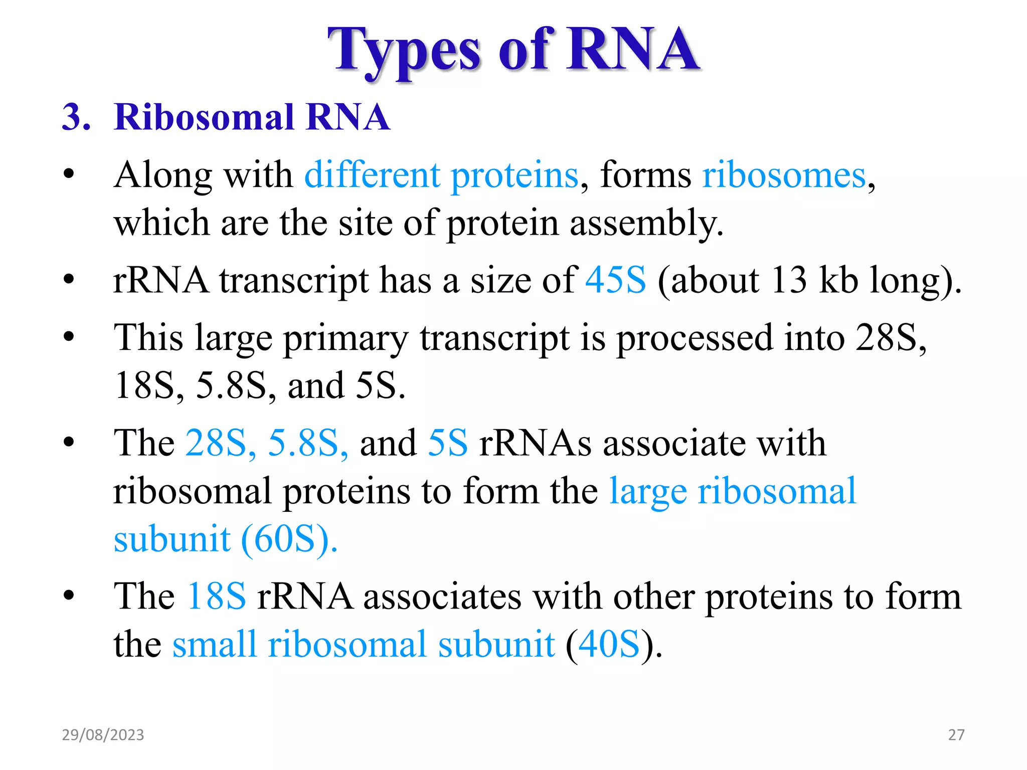 4-Genetic in formation.pptx