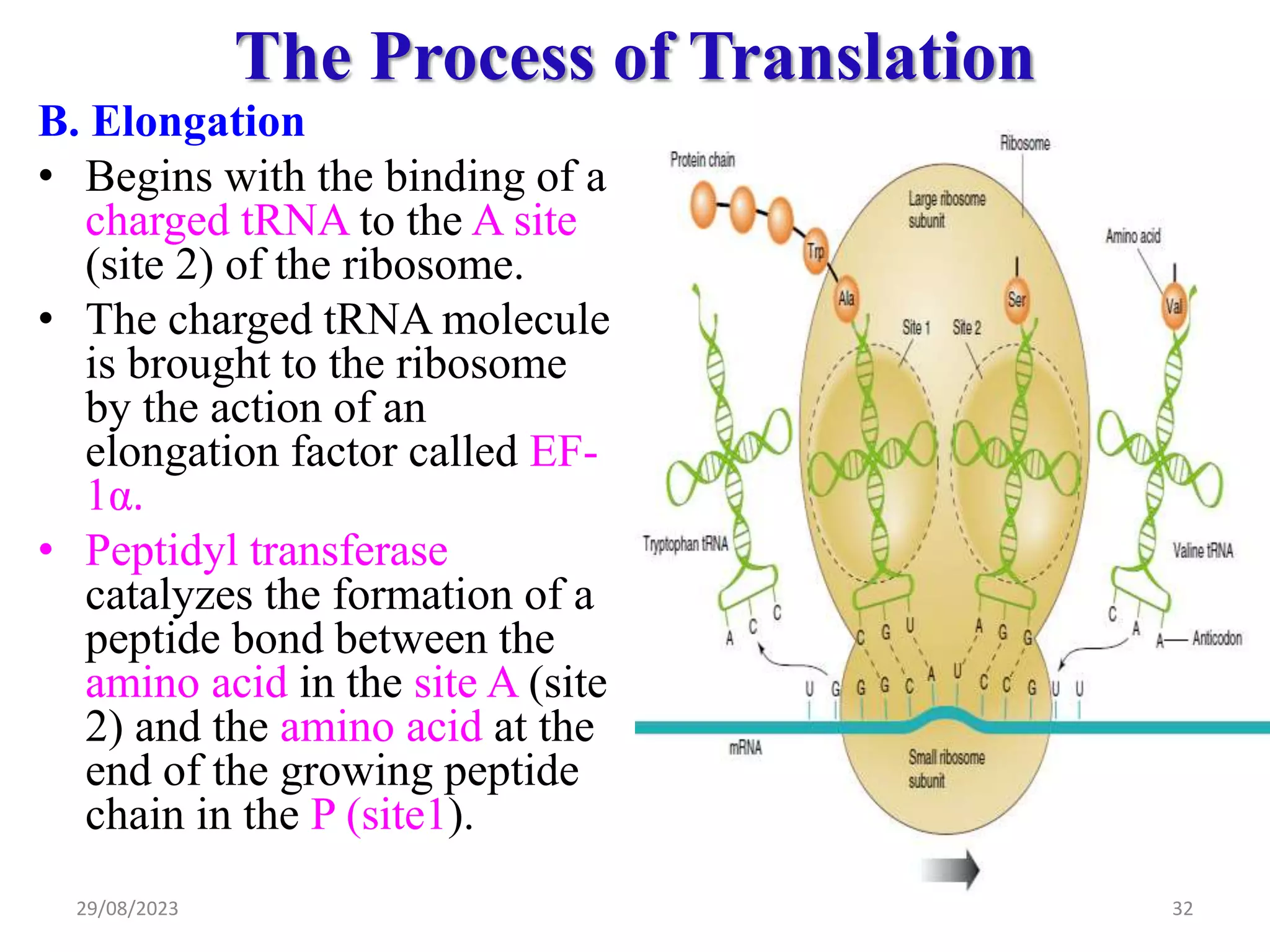 4-Genetic in formation.pptx