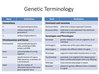4- Genetics and Congenital Disorders.pptx
