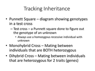 4- Genetics and Congenital Disorders.pptx