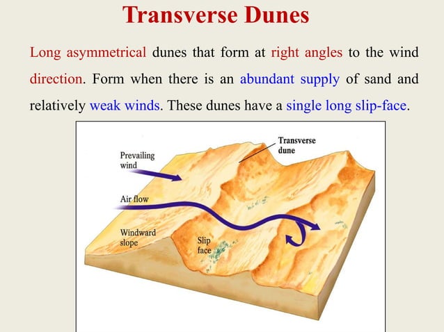 4 - Geomorphic Processes-part 2 depos NEW.pptx