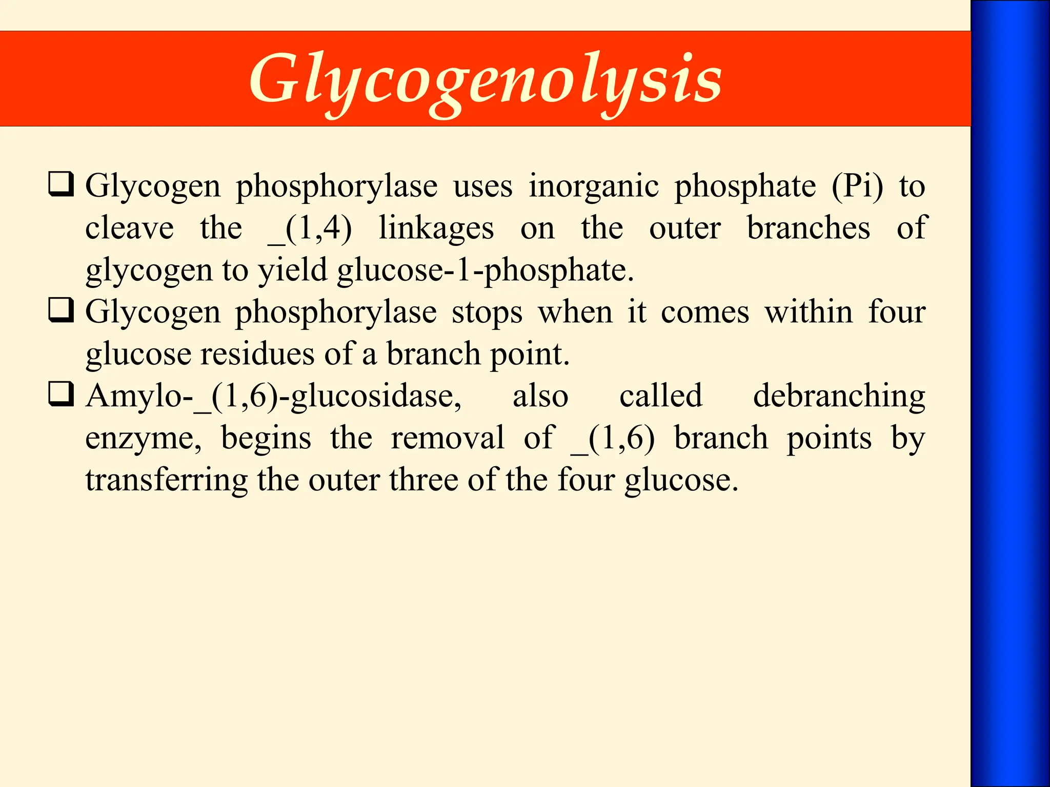 4- Biochemistry_2-Glycogen Metabolism.ppt
