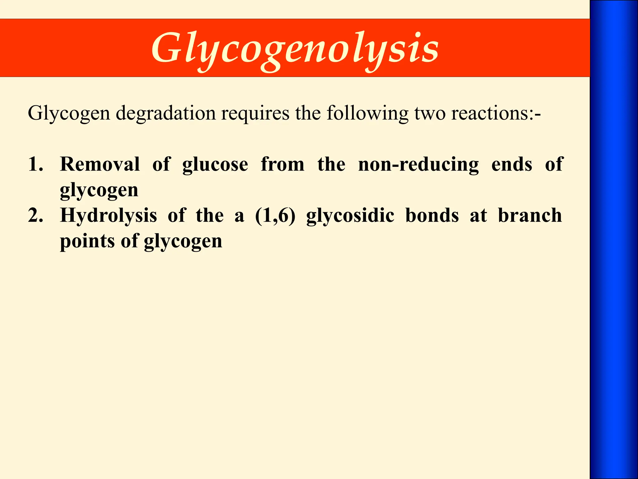 4- Biochemistry_2-Glycogen Metabolism.ppt