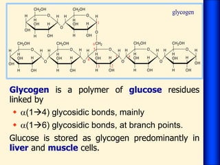 4- Biochemistry_2-Glycogen Metabolism.ppt