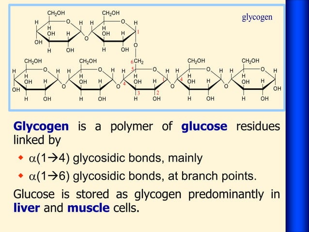 4- Biochemistry_2-Glycogen Metabolism.ppt