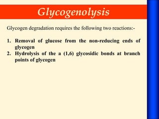 4- Biochemistry_2-Glycogen Metabolism.ppt