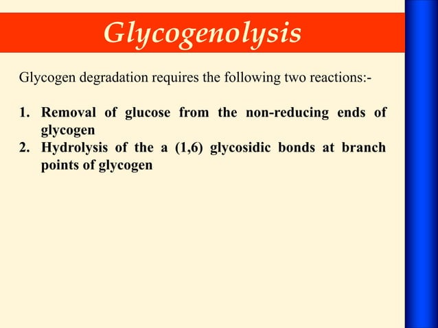 4- Biochemistry_2-Glycogen Metabolism.ppt