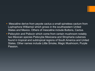 hallucinogens | PPTX