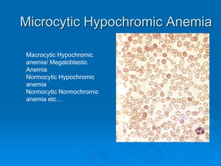 disorder of hematopoietic system | PPT