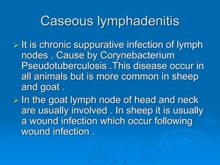 disorder of hematopoietic system | PPT