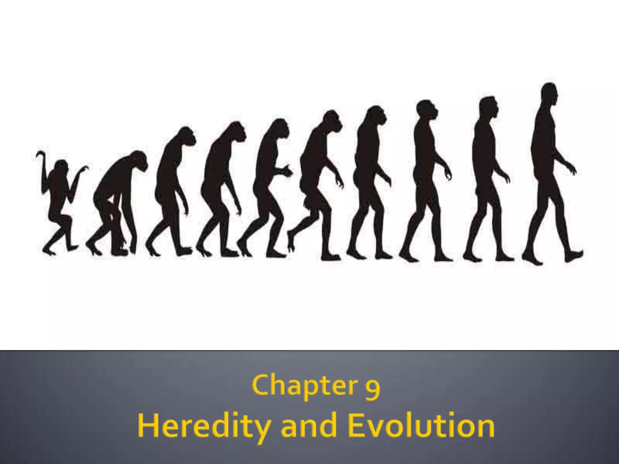 4. heredity and evolution | PPTX
