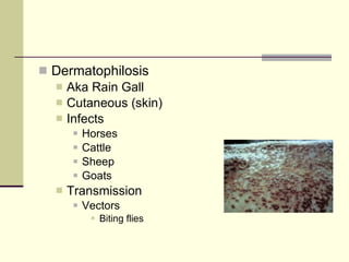 4 h fungal diseases | PPT