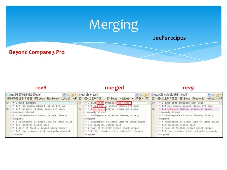 4. hg init – a mercurial tutorial by tortoise hg merging