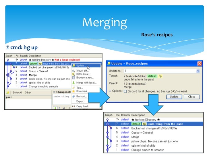 4. hg init – a mercurial tutorial by tortoise hg merging