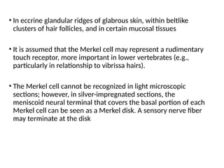 Histology of skin and adnexa, normal.pptx