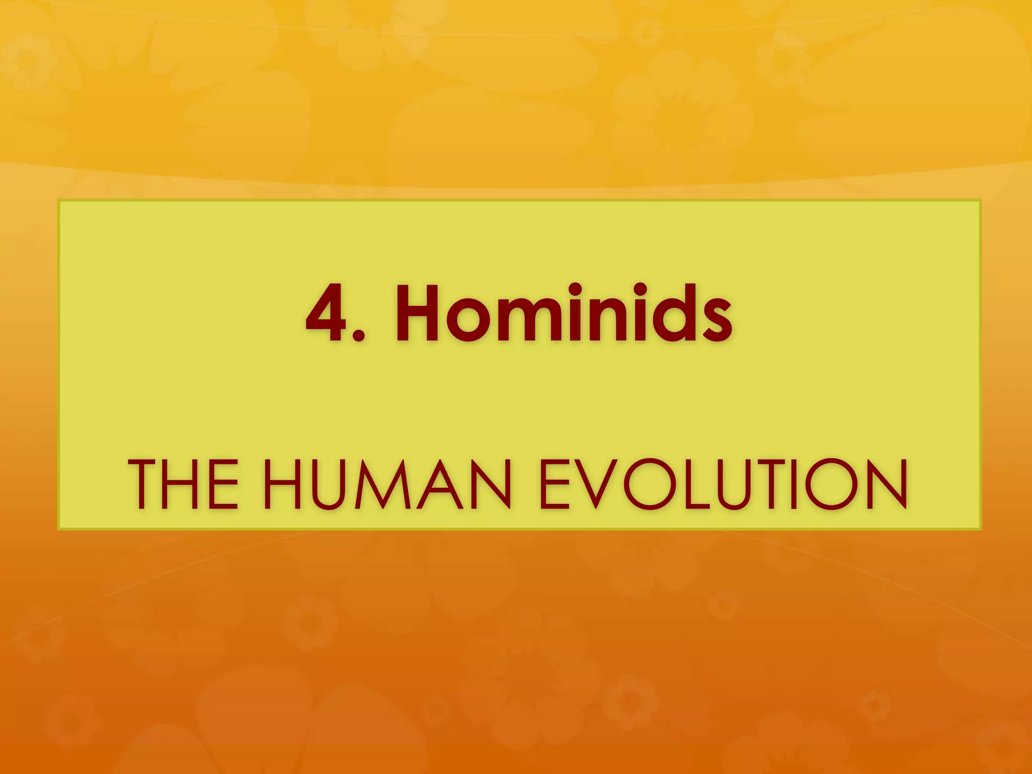 4 hominids-human evolution-(i) | PPTX