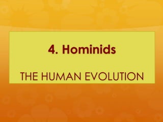 4 hominids-human evolution-(i) | PPTX