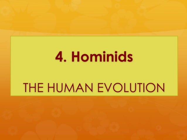 4 hominids-human evolution-(i) | PPTX