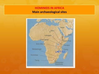 4 hominids-human evolution-(i) | PPTX