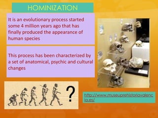 4 hominids-human evolution-(i) | PPTX