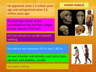 Hominids Timeline For Kids