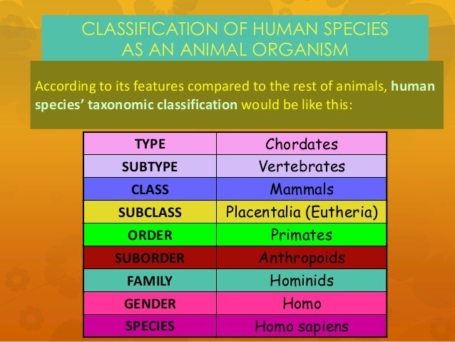4 hominids-human evolution-(i)