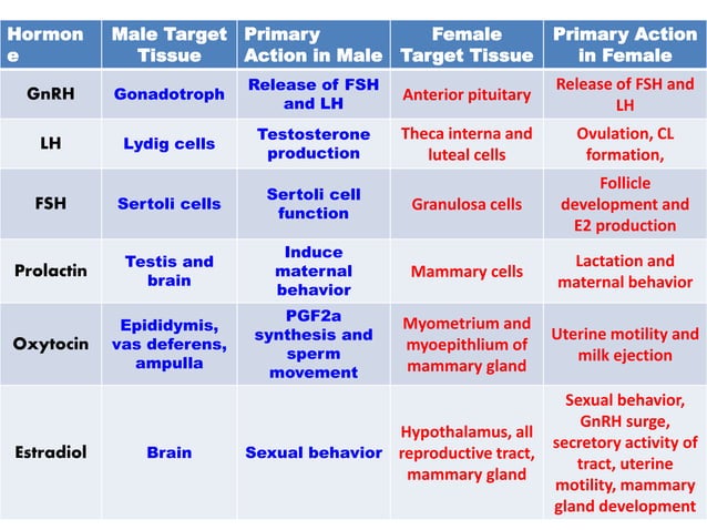 4 hormones & reproduction | PPT