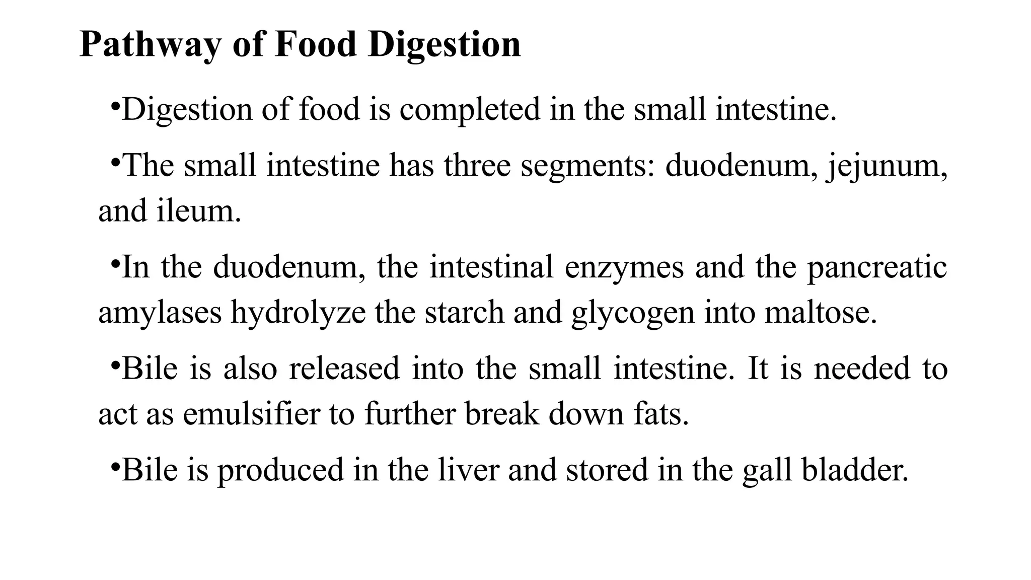 4-How-Animals-Survive.pptx jsjsbsksjshbsvsks | PPTX