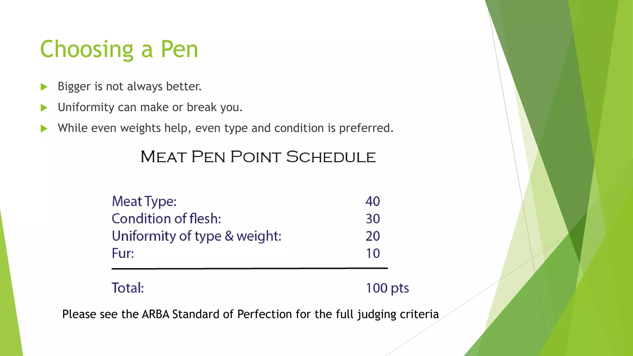 4-H Rabbit Project 101: In Depth Basics | PDF