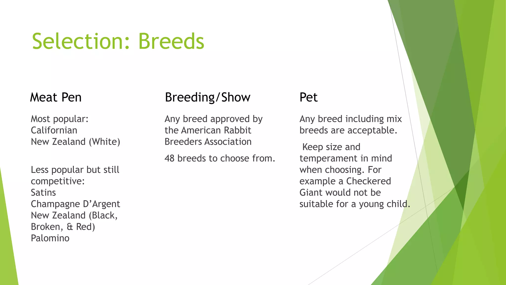 4-H Rabbit Project 101: In Depth Basics | PDF